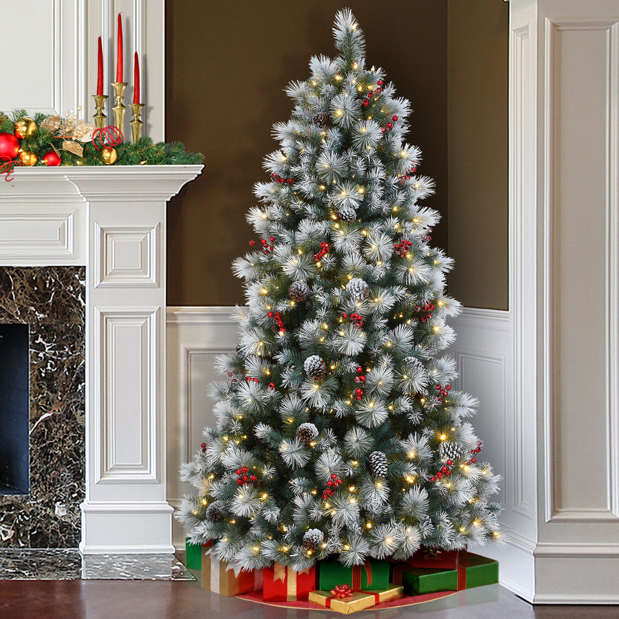 Christmas Trees Under $500 · National Tree Company