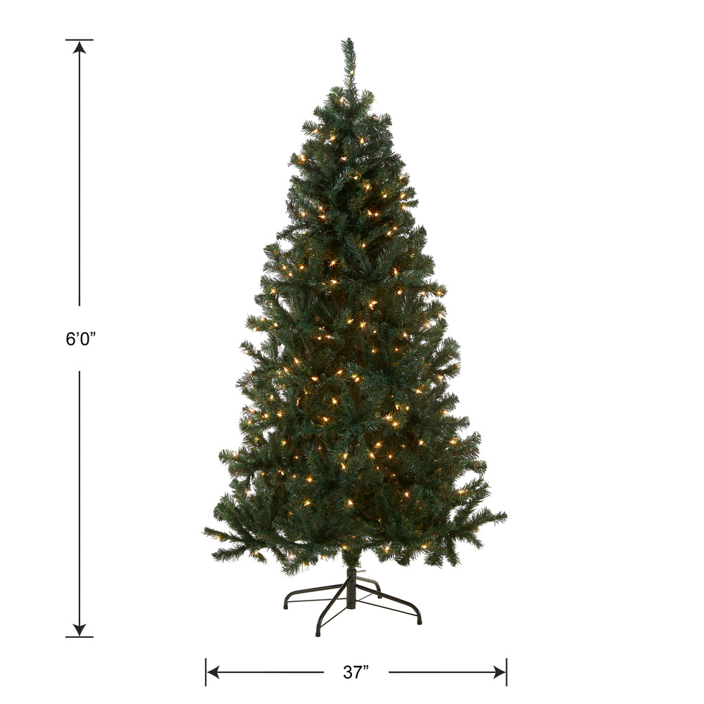 6 ft. Pre-Lit Acacia Tree with Clear Lights · National Tree Company