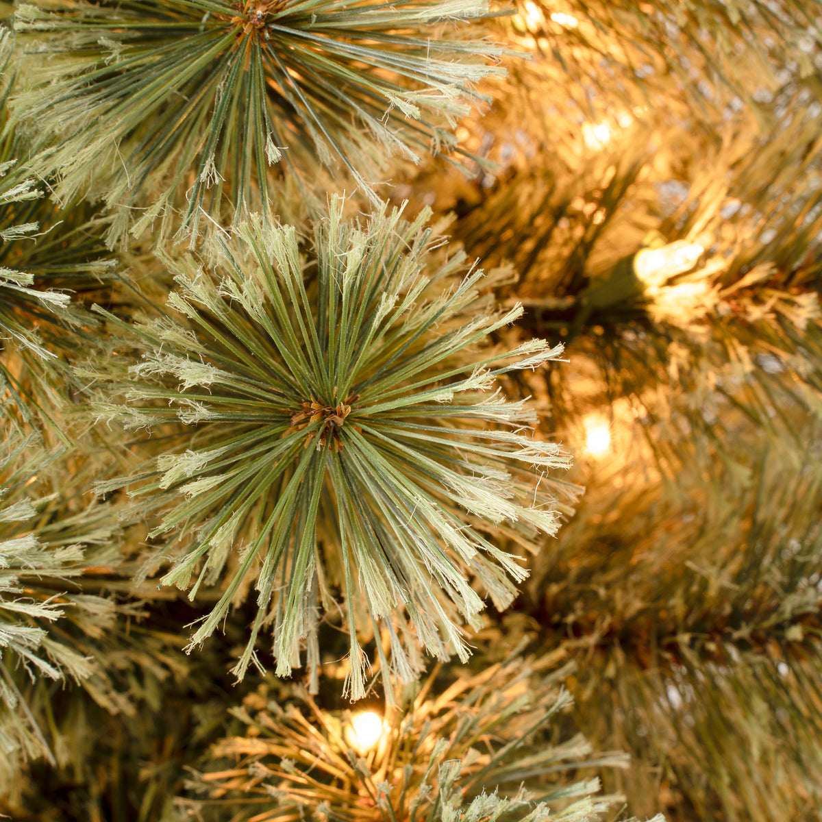 6 ft. Pre-Lit Arcadia Pine Cashmere Slim Tree with Clear Lights, Plug ...