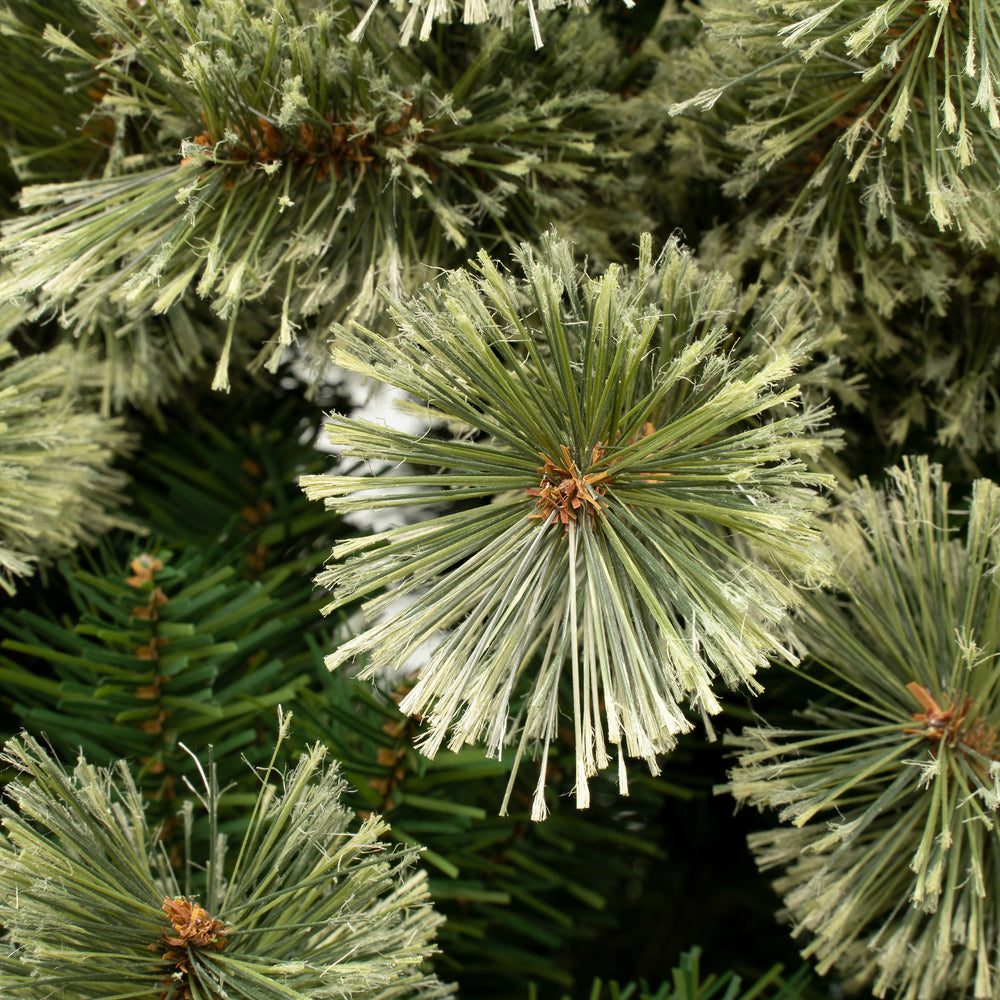 6 ft. Arcadia Pine Cashmere Tree · National Tree Company