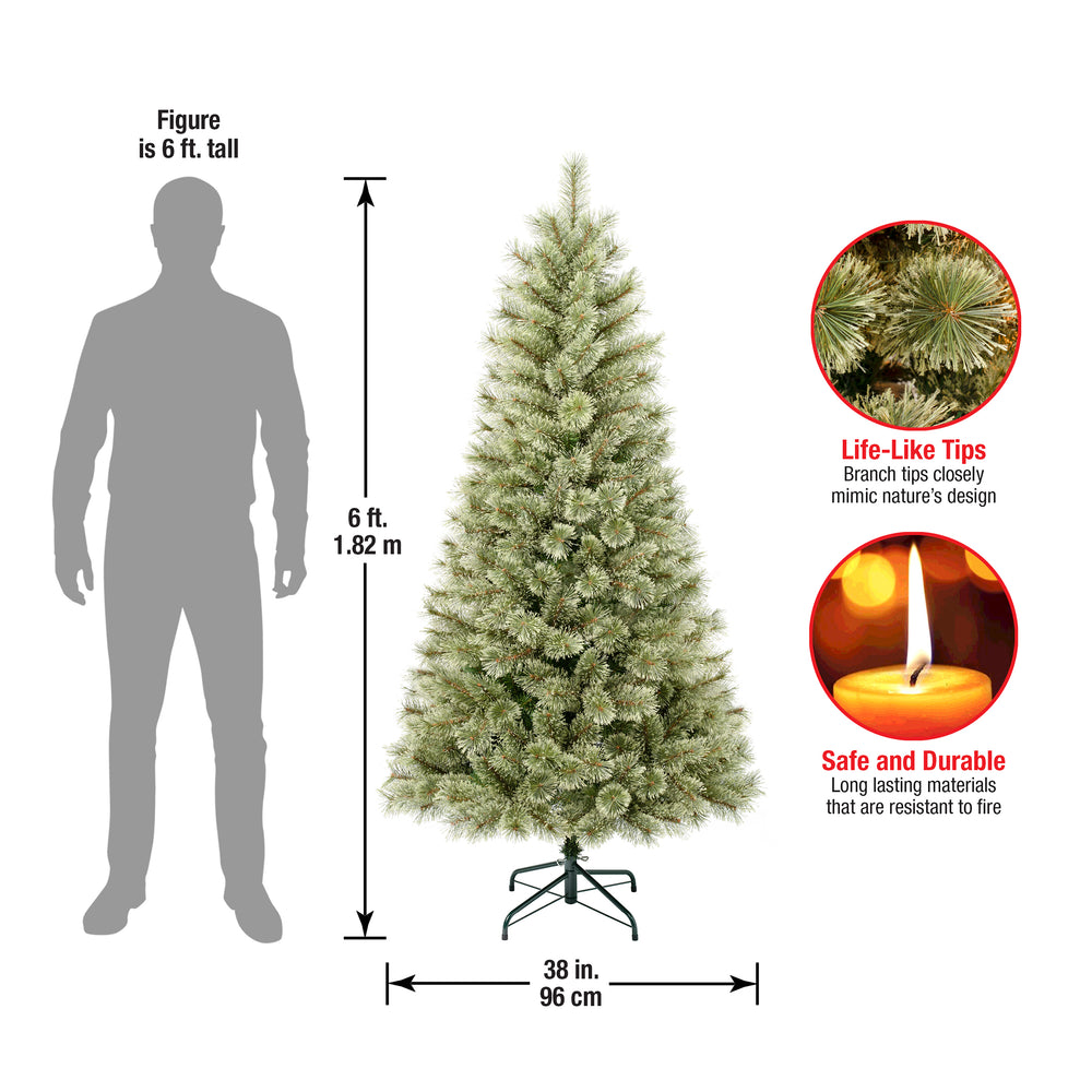 6 ft. Arcadia Pine Cashmere Tree · National Tree Company