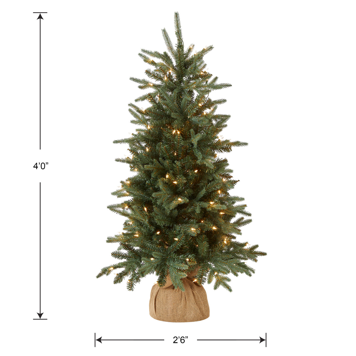 4 ft. Pre-Lit Everyday Collection Tree with Clear Lights · National ...