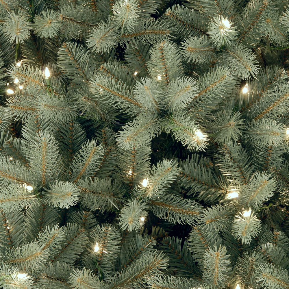 6 ft. Pre-Lit Downswept Douglas Blue Fir Tree with Clear Lights ...