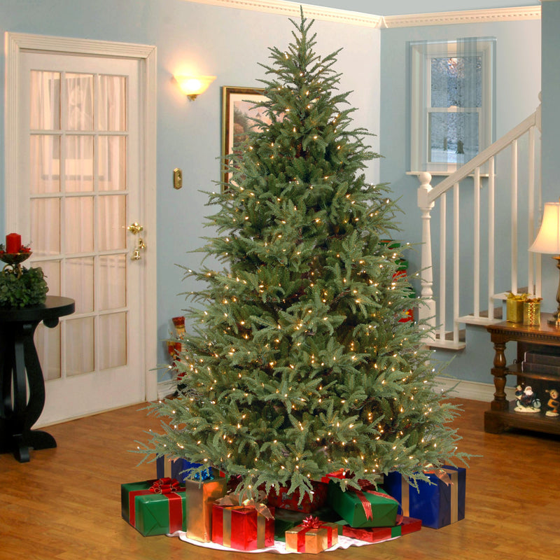 7.5 ft. Pre-Lit Fraser Grande Tree with Clear Lights · National Tree ...