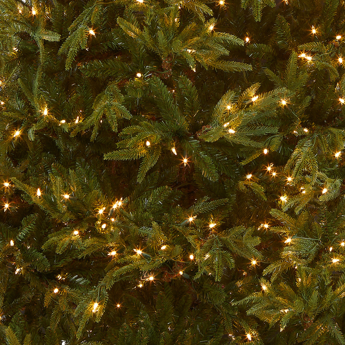 7.5 ft. Pre-Lit Fraser Grande Tree with Clear Lights · National Tree ...