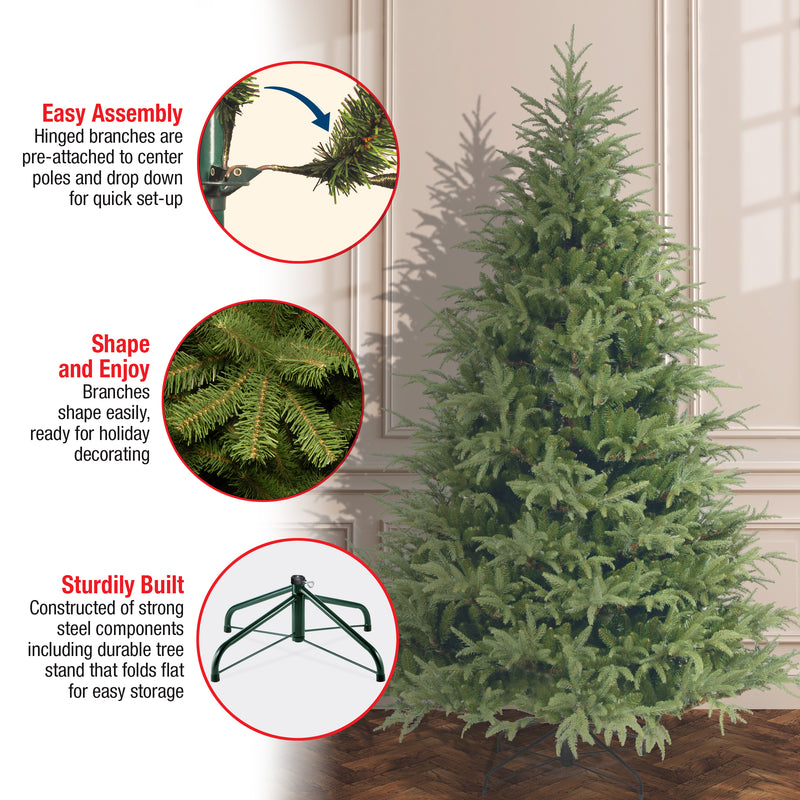7 ft. Fraser Grande Fir Tree · National Tree Company