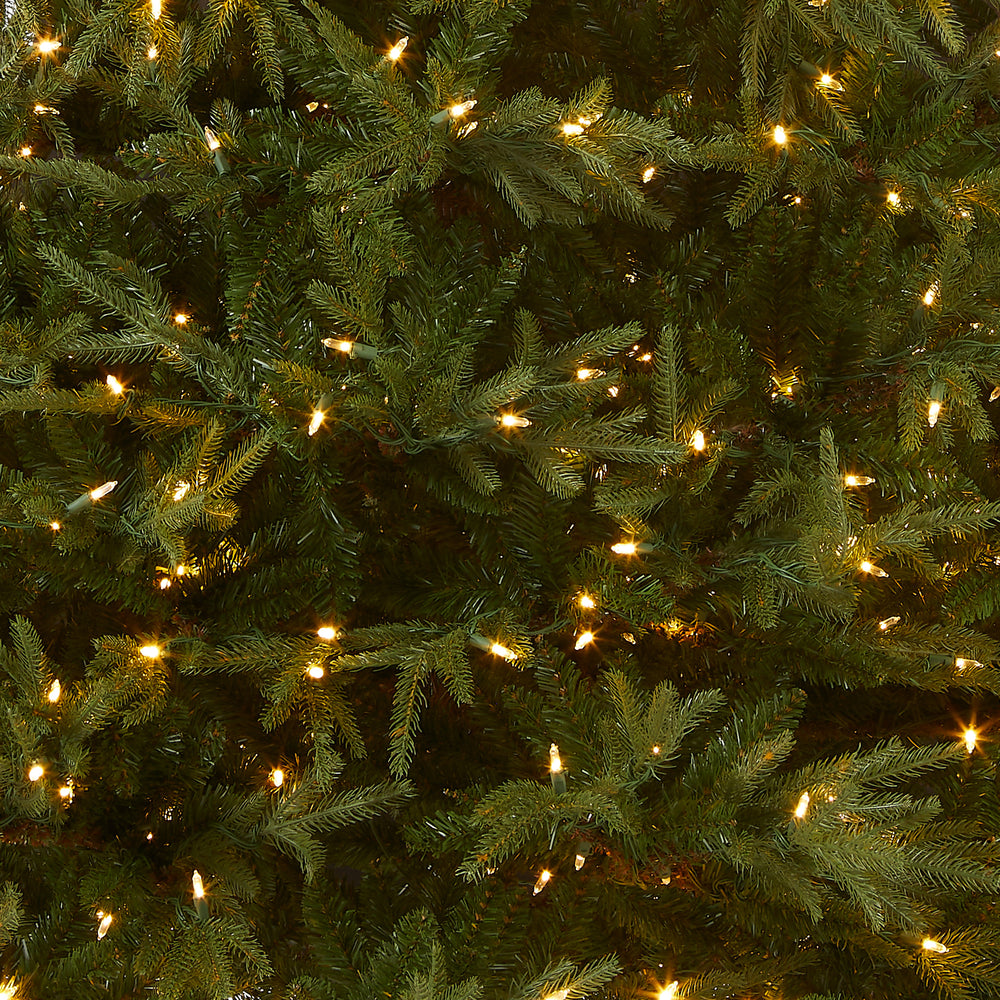 6.5 ft. Pre-Lit Fraser Grande Tree with Dual Color LED Lights, Plug-In ...