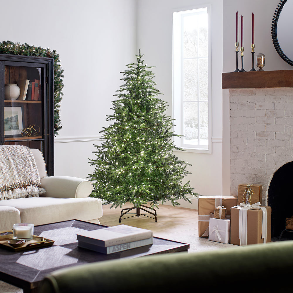 6 ft. Pre-Lit Fraser Grande with Dual Color LED Lights · National Tree ...