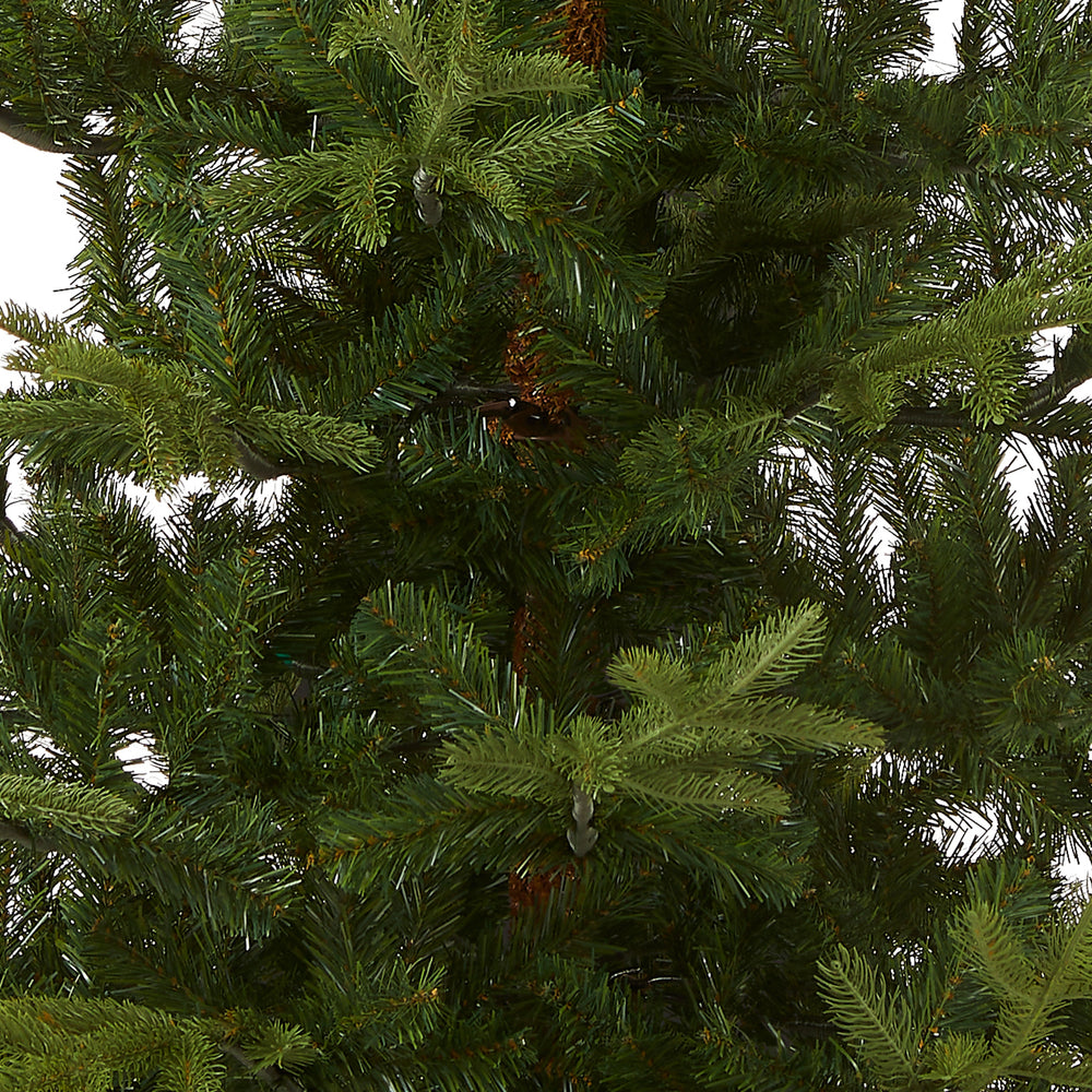 7.5 ft. Norwegian Spruce Tree · National Tree Company