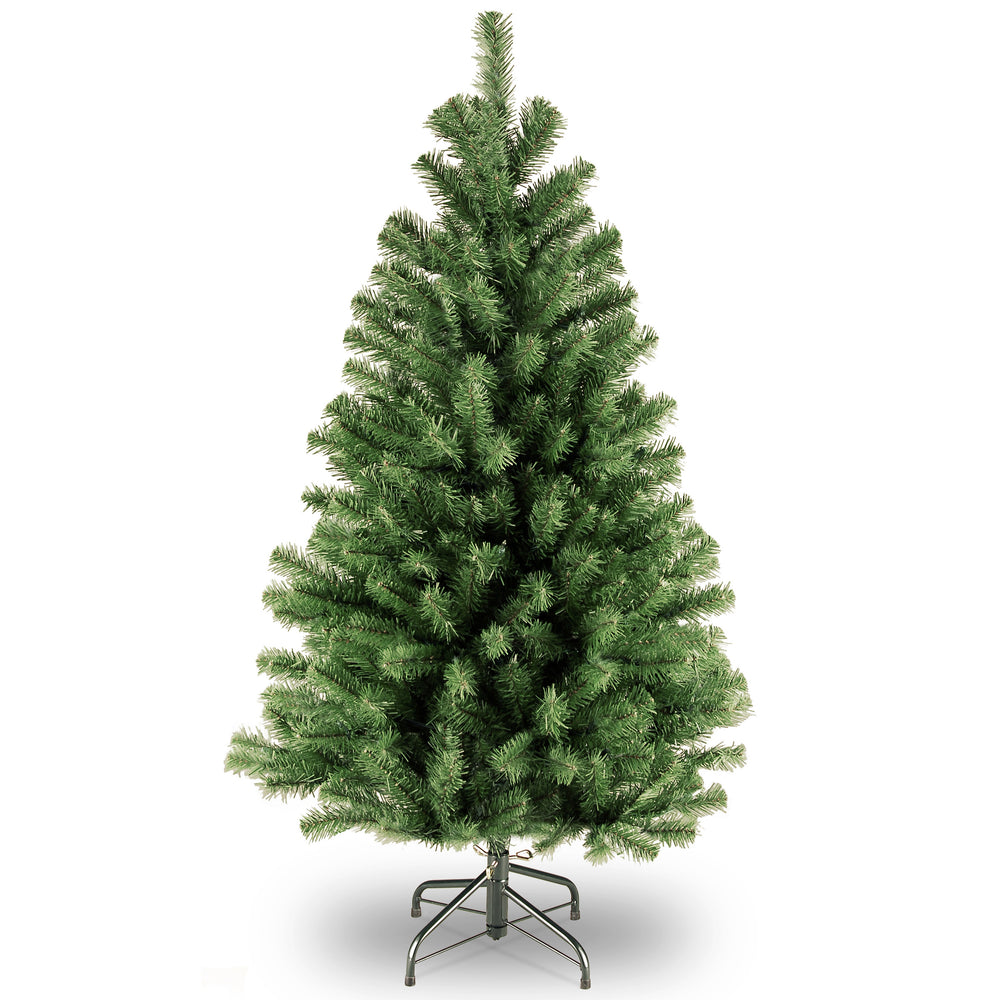 4 ft. North Valley Spruce Tree · National Tree Company